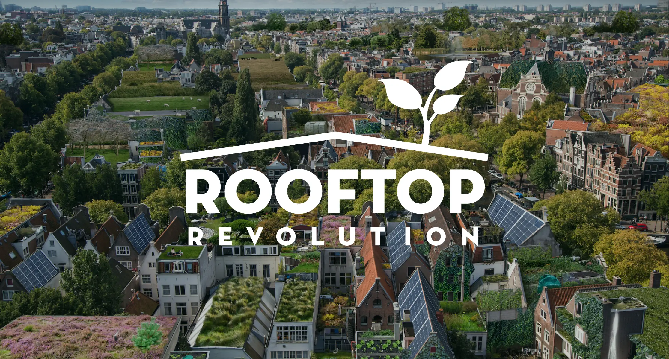 Where data and sustainability come together - Rooftop Revolution